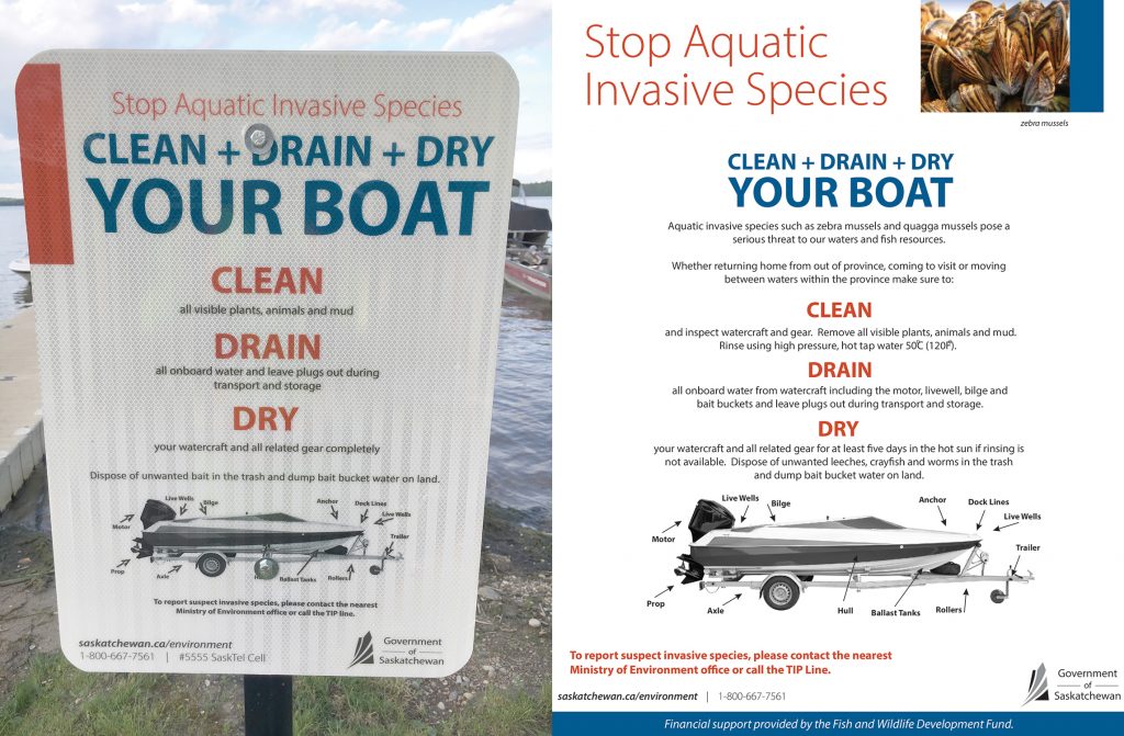 STOP Aquatic Invasive Species | Marean Lake Advisory Committee